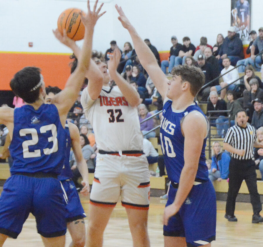 Bucs place four in double figures to coast past Tigers | News, Sports ...